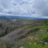 Park Point Overlook Trail, Colorado - 223 Reviews, Map | AllTrails
