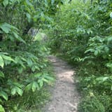 Turkey Point Lighthouse Trail, Maryland - 890 Reviews, Map | AllTrails