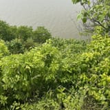 Turkey Point Lighthouse Trail, Maryland - 890 Reviews, Map | AllTrails