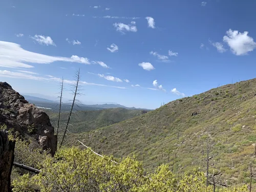 10 Best Camping Trails in Santa Fe National Forest | AllTrails