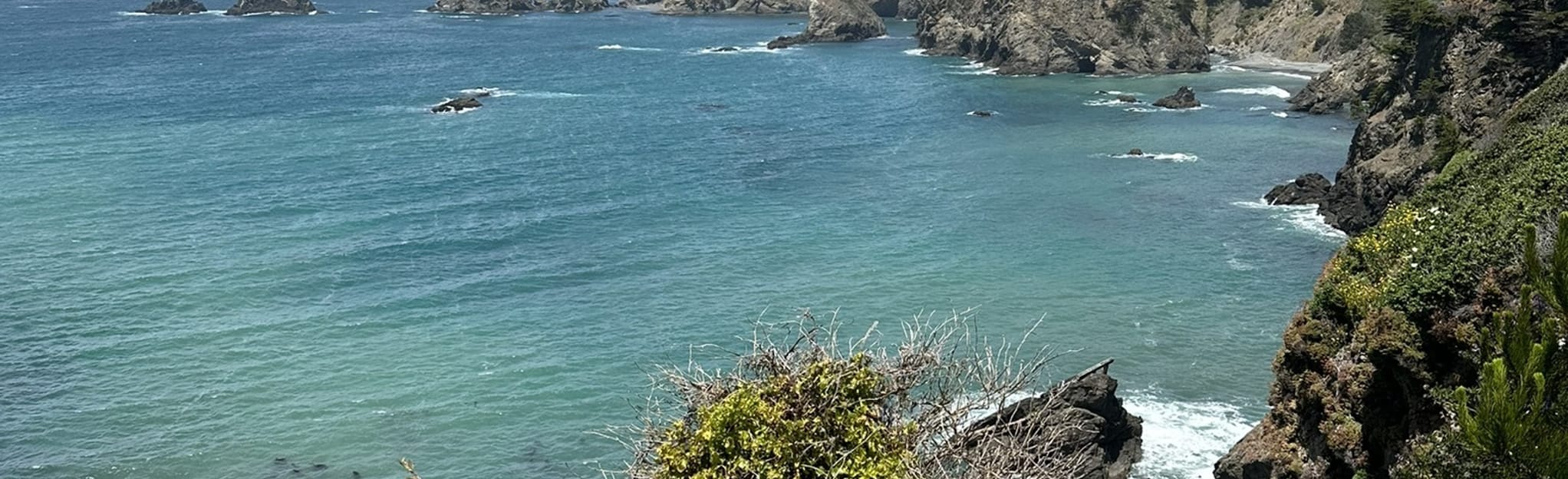 Greenwood State Beach, California - 45 Reviews, Map | AllTrails