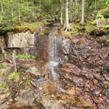 Franconia Brook Trail, New Hampshire - 285 Reviews, Map | AllTrails