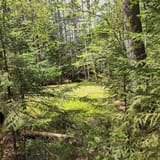 Franconia Brook Trail, New Hampshire - 323 Reviews, Map | AllTrails