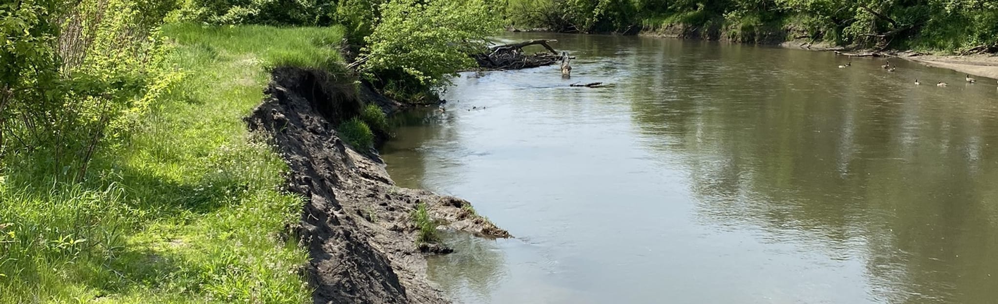 Skunk River Flats Trail: 32 Fotos - Iowa | AllTrails