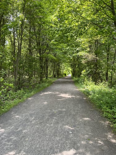 Best Hikes and Trails in Mercer Meadows | AllTrails