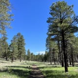 Sandys Canyon Trail, Arizona - 1,144 Reviews, Map | AllTrails