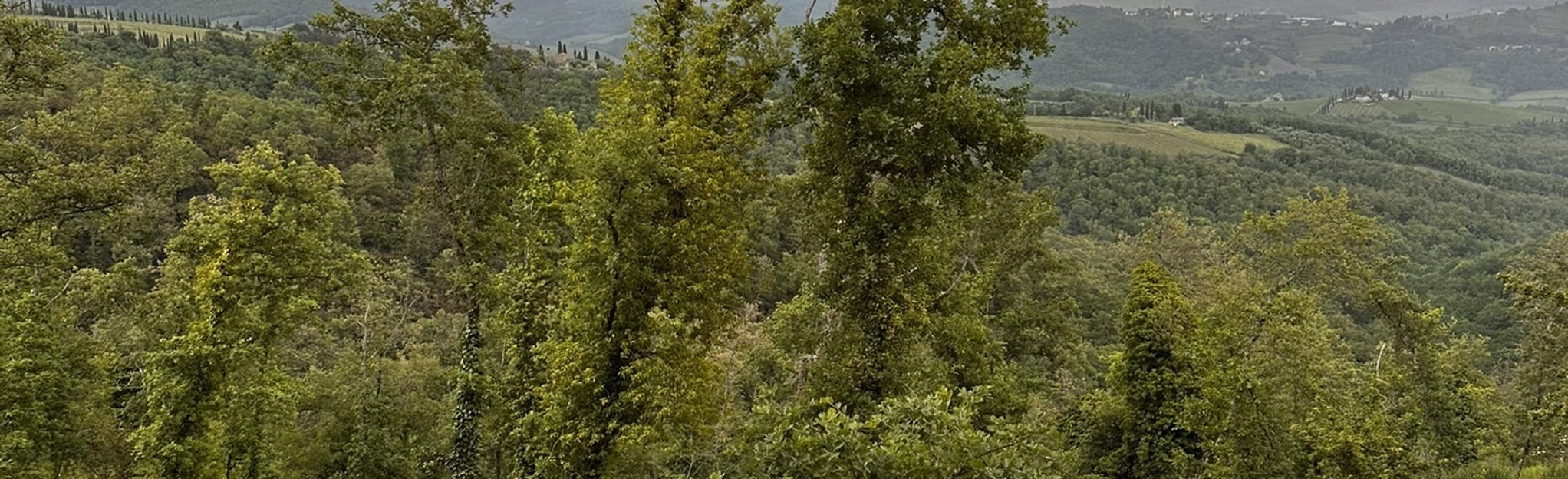 Radda in Chianti Loop via Castelvecchi - Volpaia: 31 Reviews, Map ...