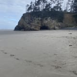 Hug Point Trail, Oregon - 709 Reviews, Map | AllTrails
