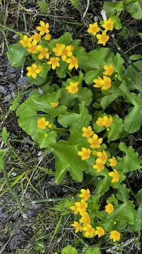 Best Hikes and Trails in Teichner Preserve | AllTrails