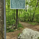 Pequot Woods, Connecticut - 308 Reviews, Map | AllTrails