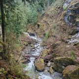 Racehorse Falls Trail, Washington - 345 Reviews, Map | AllTrails