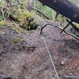 Racehorse Falls Trail, Washington - 345 Reviews, Map | AllTrails