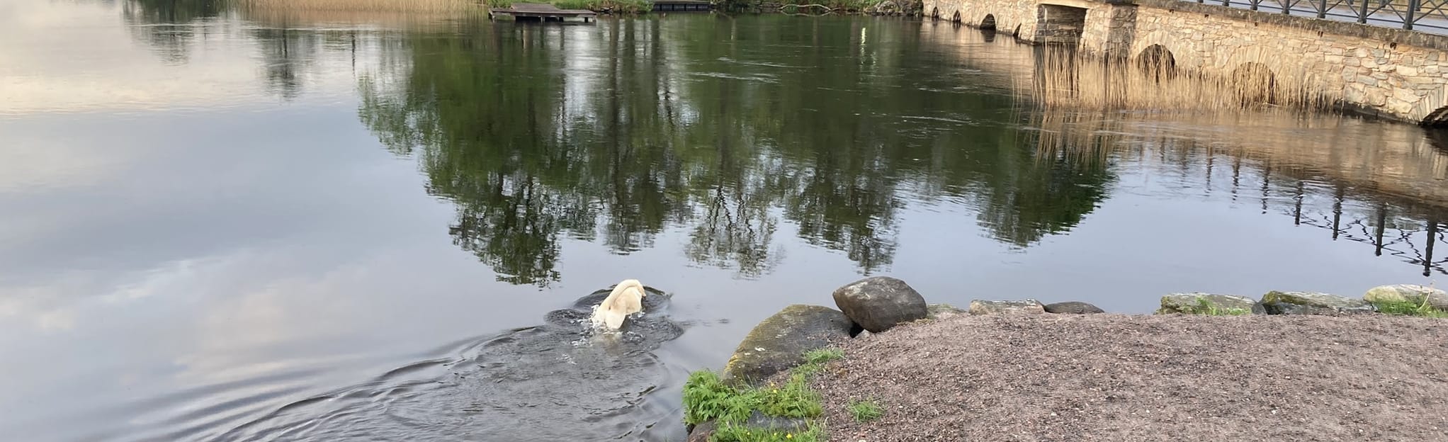 Bockaberg till Nääs Slott och Floda: 4 Reviews, Map - Västra Götaland ...