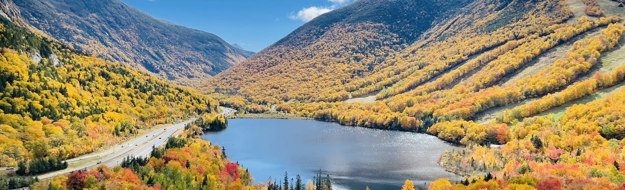 Artist Bluff Trail: 3592 Reviews, Map - New Hampshire | AllTrails