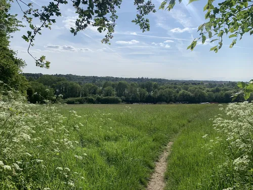 Best Bird Watching Trails in Colne Valley Park | AllTrails