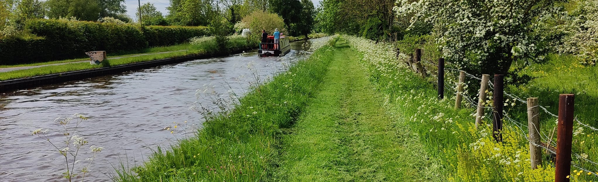Whixall Moss, Shropshire, England - 22 Reviews, Map | AllTrails