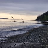 Ridge Loop Trail , Washington - 346 Reviews, Map | AllTrails