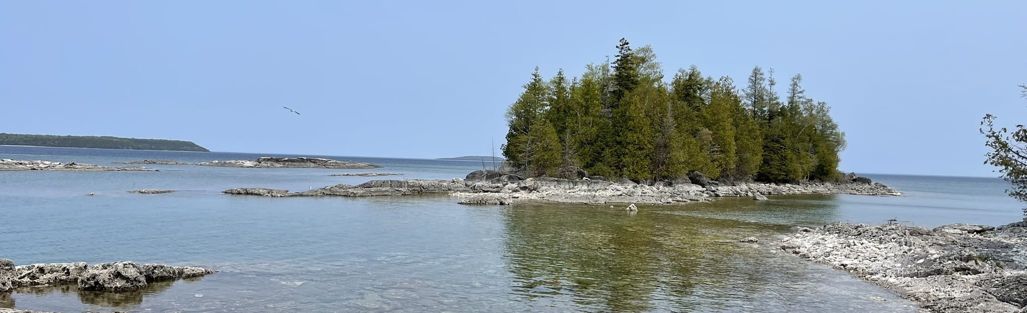 Burnt Point Loop: 688 Reviews, Map - Ontario, Canada | AllTrails