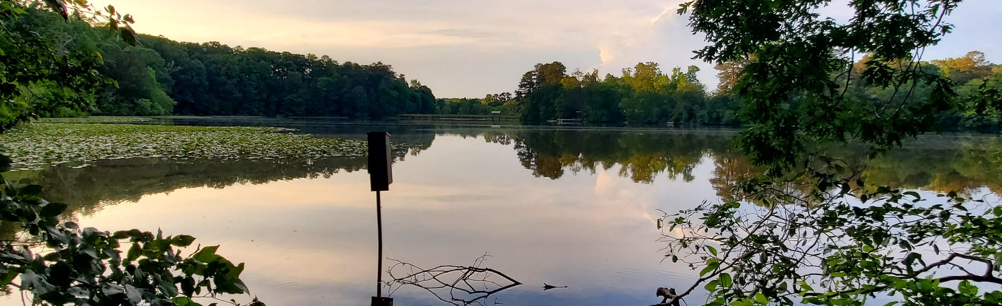 High Ridge Trail, North Carolina - 137 Reviews, Map | AllTrails