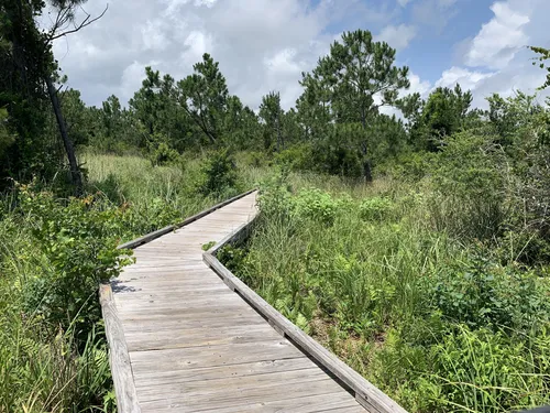 Best Bike Touring Trails in Gulf State Park | AllTrails