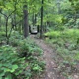 Cedar Lake Trail, Oklahoma - 137 Reviews, Map | AllTrails