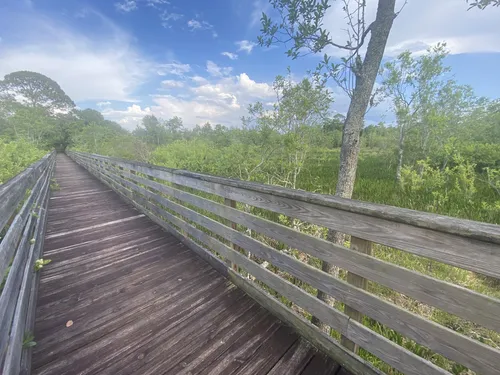 Best Hikes and Trails in Audubon Park | AllTrails