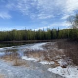 Talkeetna Lake Trail, Alaska - 568 Reviews, Map | AllTrails