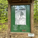 Quechee Gorge Dewey Pond Trail, Vermont - 871 Reviews, Map | AllTrails