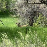 Niwot Loop Trail, Colorado - 502 Reviews, Map | AllTrails