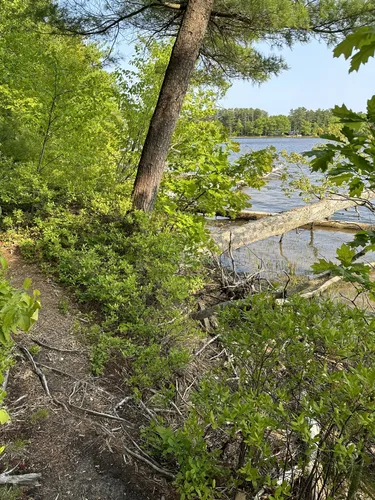 Best Hikes and Trails in Bellamy River Wildlife Sanctuary | AllTrails