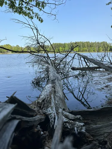 Best Hikes and Trails in Bellamy River Wildlife Sanctuary | AllTrails