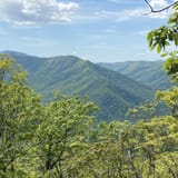 Three Ridges Trail, Virginia - 874 Reviews, Map | AllTrails