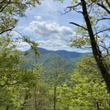 Three Ridges Trail, Virginia - 874 Reviews, Map | AllTrails