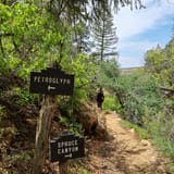Spruce Canyon Trail, Colorado - 297 Reviews, Map | AllTrails