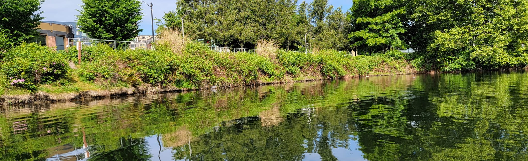 Cheshiahud Lake Union Loop, Washington - 1,449 Reviews, Map | AllTrails