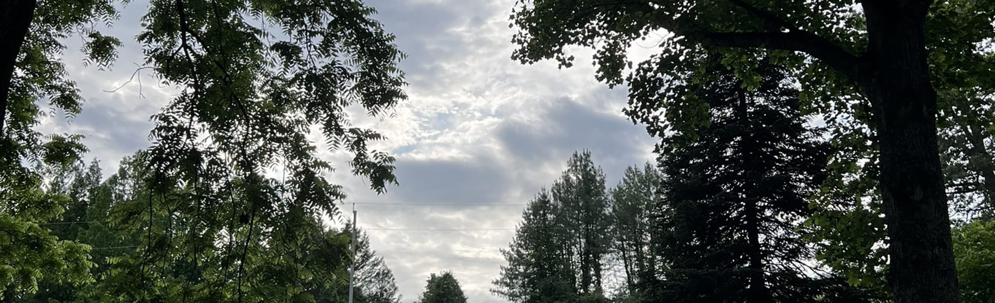 University of Tennessee Arboretum Loop, Tennessee - 615 Reviews, Map ...