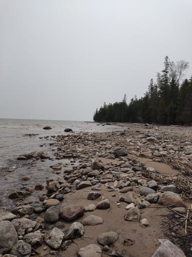 2023 Best Wild Flowers Trails in De Tour Village | AllTrails