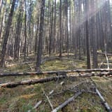 Island Lake, Alberta, Canada - 10 Reviews, Map | AllTrails