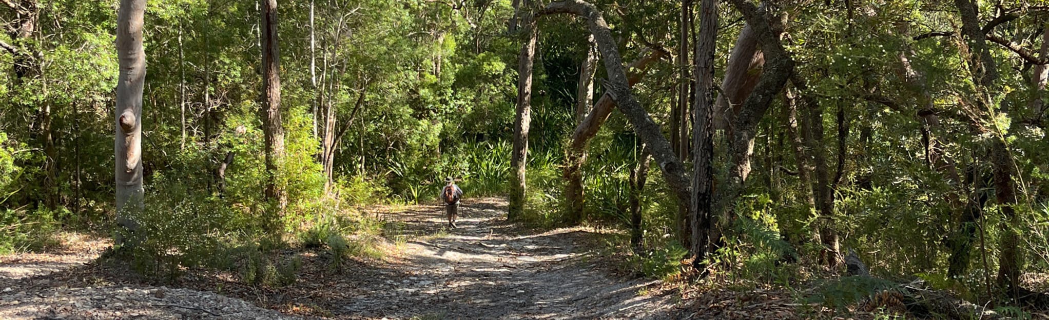 Gan Gan Walking Trails, New South Wales, Australia - 31 Reviews, Map ...