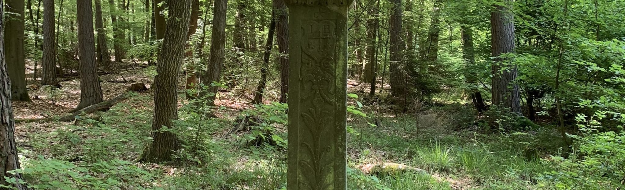 Von Binsfeld nach Herforst: 2 Photos - Rhineland-Palatine, Germany ...