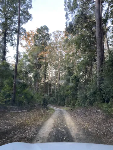 Best Hikes and Trails in Middle Brother National Park | AllTrails