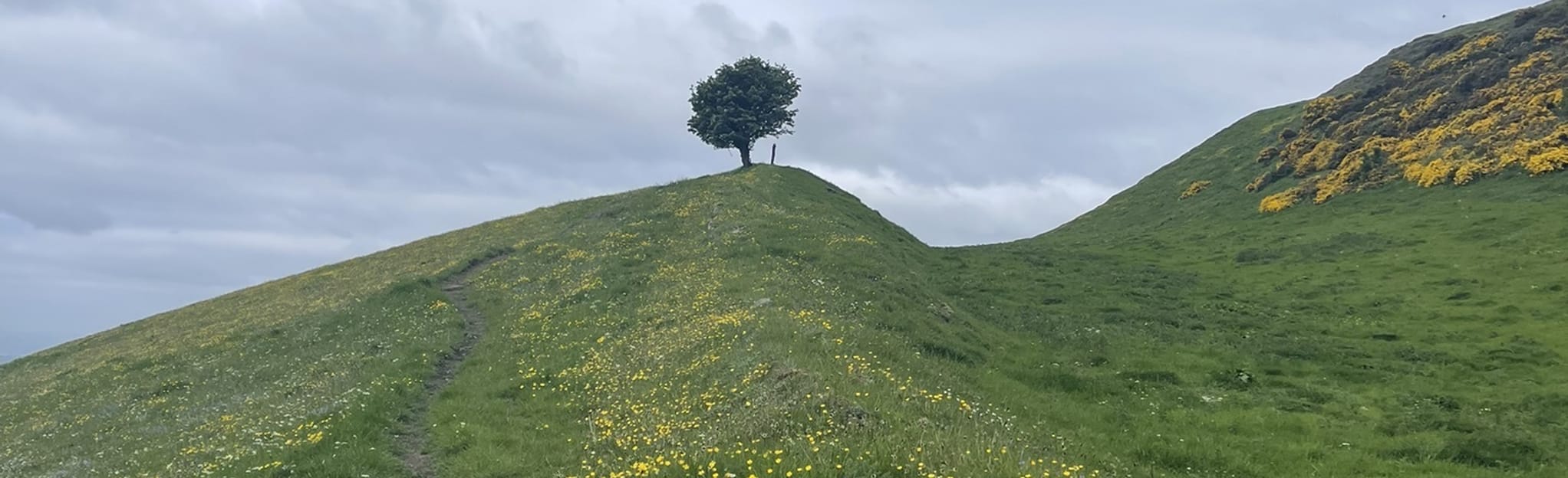 Hill of Beath, Fife, Scotland - 7 Reviews, Map | AllTrails