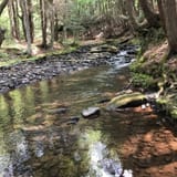 Sand Run Falls Trail, Pennsylvania - 440 Reviews, Map | AllTrails