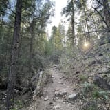Sandys Canyon Trail, Arizona - 1,144 Reviews, Map | AllTrails