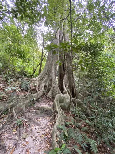 Best Hikes and Trails in Cat Ba National Park | AllTrails