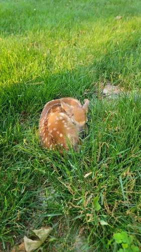 Best Hikes and Trails in Great Valley Nature Center | AllTrails