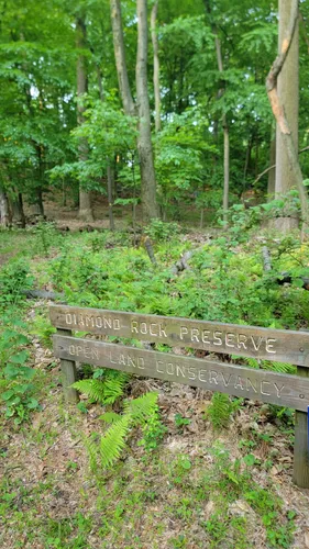 Best Hikes and Trails in Great Valley Nature Center | AllTrails