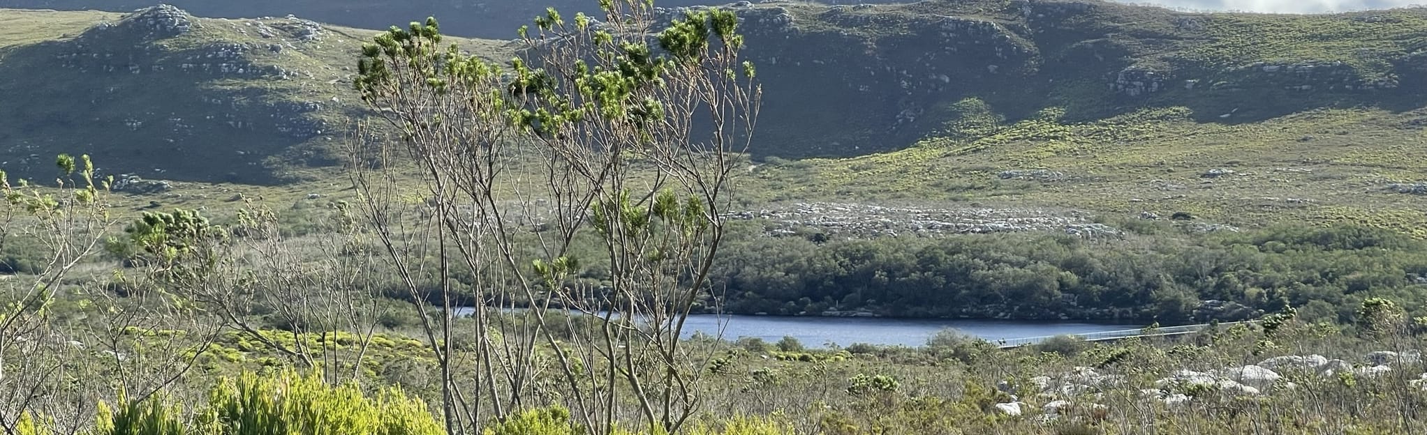 Silvermine River Ridge, Western Cape, South Africa - 27 Reviews, Map ...