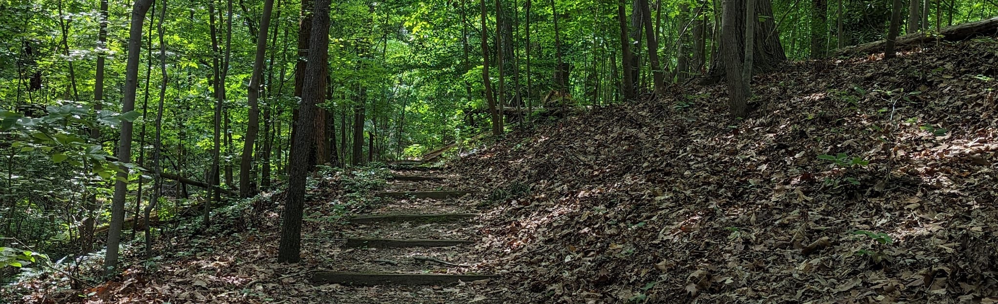 Ballou Park Nature Loop, Virginia - 17 Reviews, Map | AllTrails