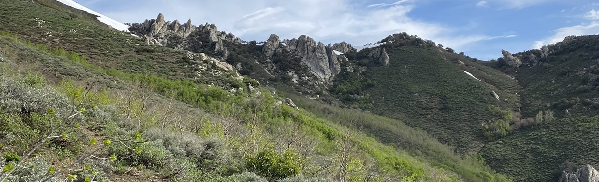 Overland Lake Trail #47, Nevada - 36 Reviews, Map | AllTrails